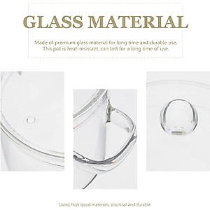 Glass Saucepan with Cover, 64 oz Stovetop Cooking Pot with Lid and Handle Simmer Pot Clear Soup Pot, High Borosilicate Glass Cookware