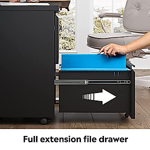 DEVAISE 2-Drawer Mobile File Cabinet with Lock, Vertical Filing Cabinet, Black