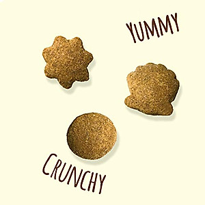 Purina Friskies Natural Cat Treats, Party Mix Natural Yums With Wild Tuna - (6) 6 oz. Pouches