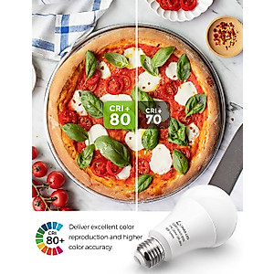 LOHAS A19 LED Light Bulbs 150W Equivalent, 17 Watt Daylight White 5000K LED Bulbs, 1600 Lumen Energy-Efficient LED Bulb(UL Listed), E26 Medium Base, Non-Dimmable, 4 Pack