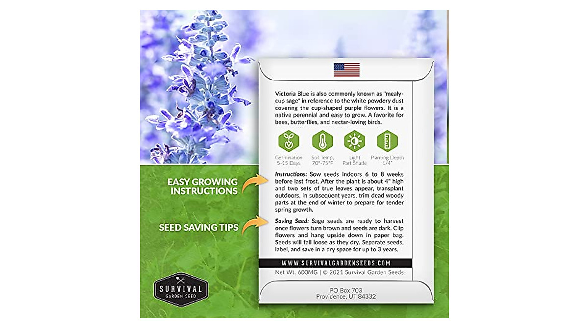 Victoria Blue Sage Seeds - Easy Grow Pollinator Favorite for Gardens