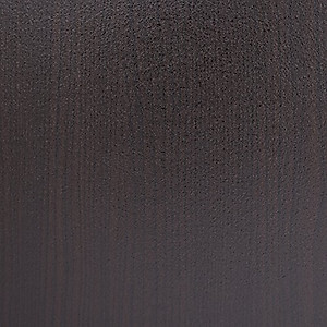 Coaster Home Furnishings Tracy Modern Contemporary 55-Inch 2-Drawer Home Office Computer Writing Desk Study Table with File Cabinet Storage Engineered Wood Eco-Friendly Laminate Brown 800107