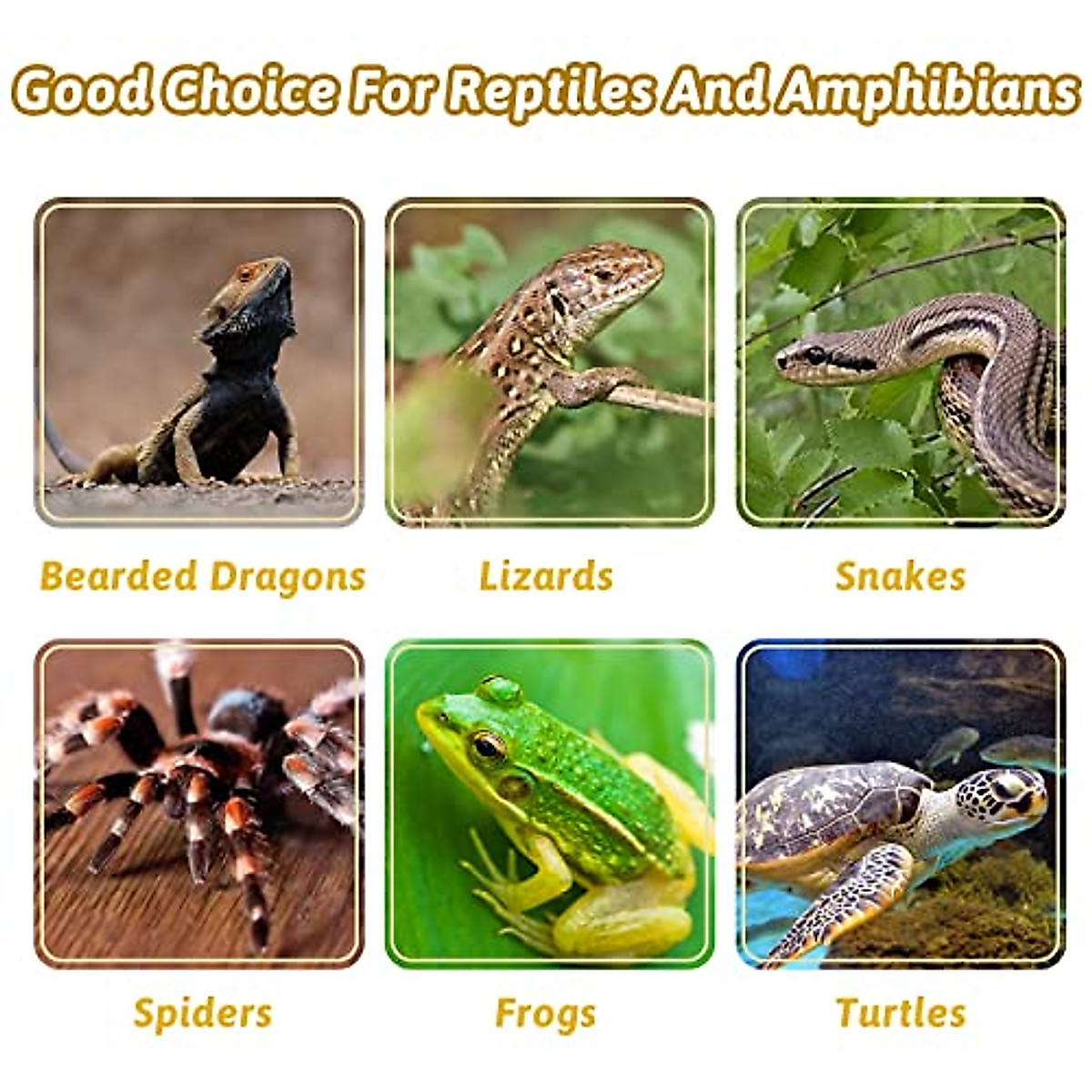 Hamiledyi Reptile Bark Bedding Tortoise Cork Bark Flats Natural Bulk Terrarium Cork Wood Tank Substrate Supplies for Snake Spiders Bearded Dragons Hermit Crabs Geckos (1 LB)