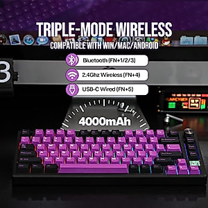 EPOMAKER TH80 SE Gasket 75% Mechanical Keyboard, NKRO Hot Swappable RGB 2.4Ghz/ Bluetooth 5.0/ Wired Gaming Keyboard with Poron/EVA Foam, 4000mah Battery (Black Purple, Flamingo Switch)