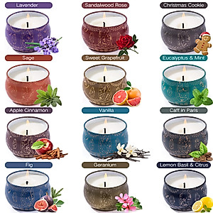 Scented Candles Gift Set for Women, Soy Wax 2.5 Oz Portable Travel Tin Candles, Candles Bulk with 12 Constellations for Aromatherapy and Home Decor, Gift for Birthday