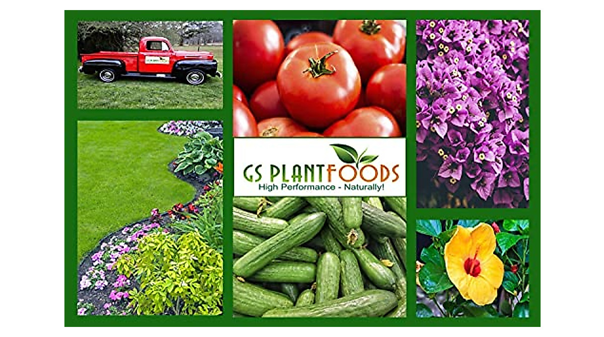 GS Plant Foods Cal-Mag 420 Concentrate: Boost Plant Growth & Yield