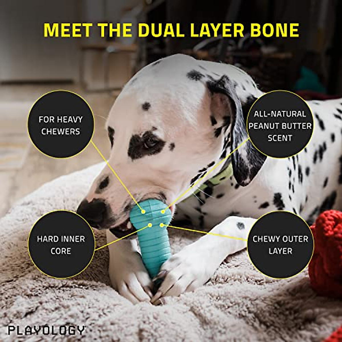 Playology Dual Layer Bone Dog Toy, for Large Dogs (35lbs and Up) - for Heavy Chewers - Engaging All-Natural Peanut Butter Scented Toy - Non-Toxic Materials
