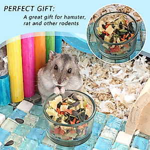 2 Pcs Hamster Food and Water Bowl Glass Anti-Turning Transparent Dish for Hamster and Other Small Pet