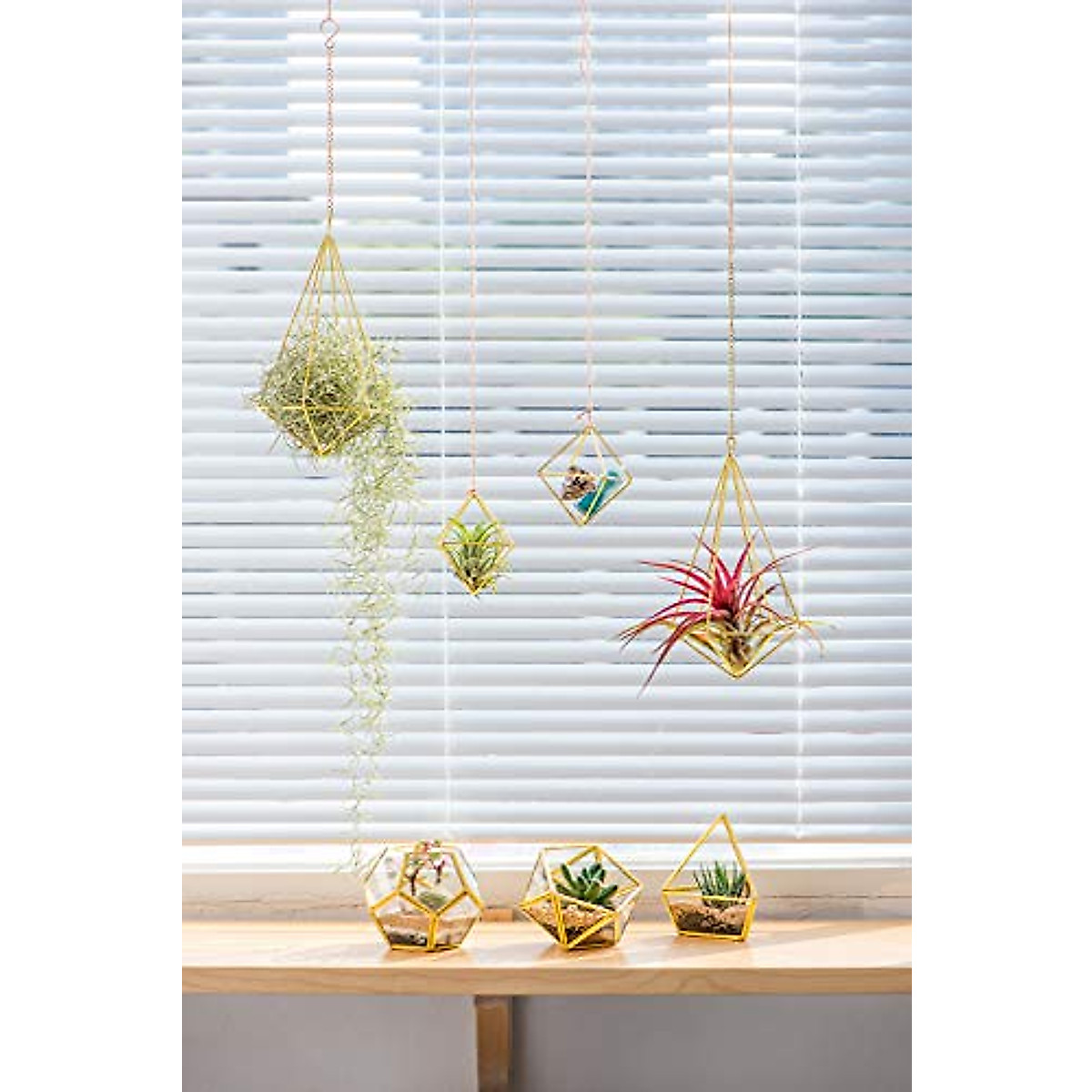 Mkono 5 Packs Air Plant Holder, Same Shape Metal Tabletop Himmeli Decor Geometric Planter Tillandsia Air Fern Display Stand with Each Side 2.6'' Long for Christma Decor Gifts for Plant Lovers, Gold