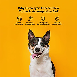 Himalayan Dog Chews Long Lasting - Turmeric Ashwagandha Yak Cheese Dental Chews for Dogs | Promotes Immunity | Healthy Dog Treats for Large Dogs (14.81oz, Pack of 3) Pawfect