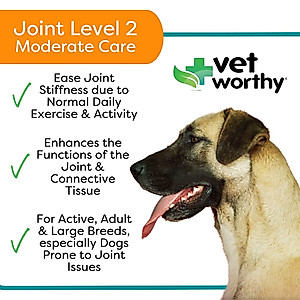 Vet Worthy Joint Support Level 2 Chewable Tablet | Supports Bone Health and Healthy Joints | Dog Supplement with Glucosamine, Chondroitin, MSM, Hyaluronic Acid | Liver Flavor 60 Count