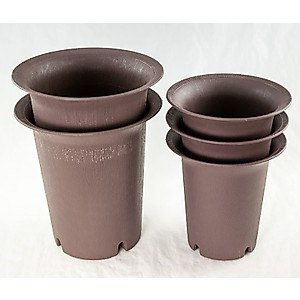 Calibonsai 5 Mix Round Cascade Plastic Bonsai Training Pot, Cactus & Succulent, Orchid Planter 4.25'' / 6.5'' - Tan