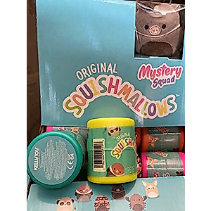 SQUISHMALLOW Mystery Squad Micro Capsule Mini Squishy 1 ea - Forest Animal NEW 2023