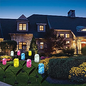 Solar Garden Lights,Hyacinth lamp,Decoration for Pathway Yard Lawn Patio Path,Pink Yellow White Blue, Pack of 4