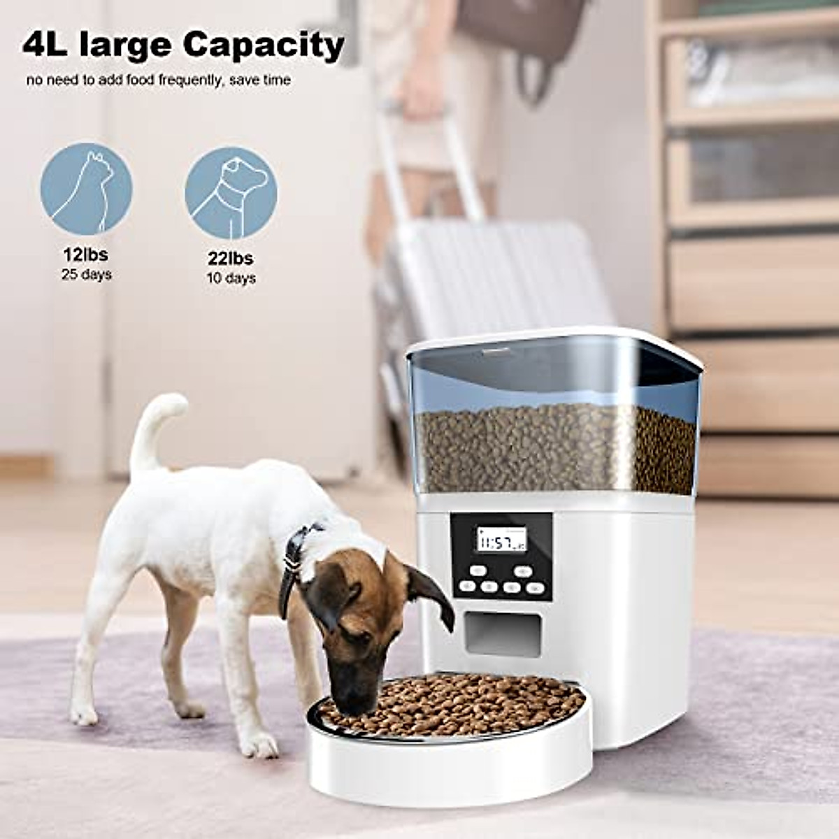 Tomxcute Automatic Cat Feeders,Cat Dry Food Dispenser for Cat Small Dog,4L Timed Dog Feeder with Desiccant Bag for Pet Feeder,Programmable Portion Size Control 6 Meals Per Day, 10s Voice Recorder