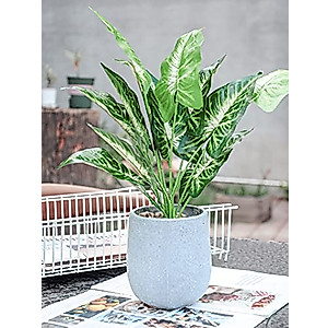Der Rose 16'' Fake Plants Artificial Potted Greenery Faux Plants for Office Desk Home Bathroom Decor