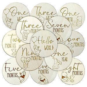 Winnie Baby Monthly Milestone Marker Discs Baby Announcement Sign Newborn Sign For Photo Prop Baby Shower Nursery Gift（16PCS）