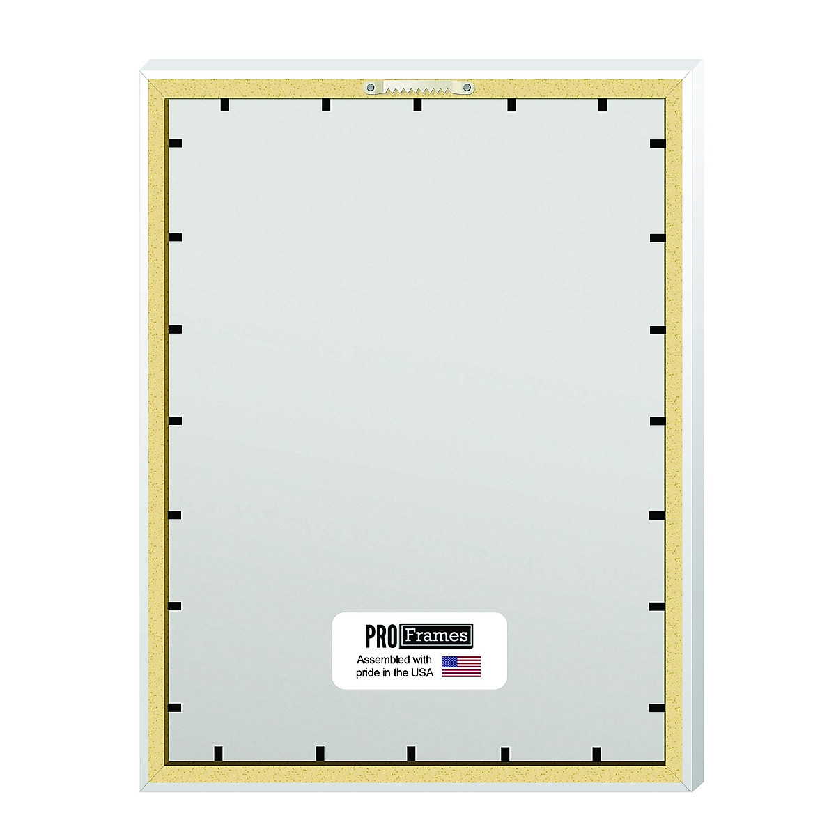 Pyramid America Framed Plexi Posters