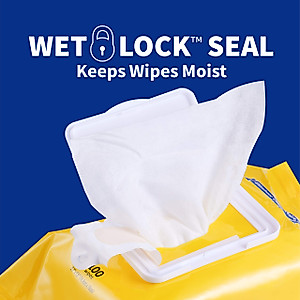 Wet Ones for Pets Desmellizing Multi-Purpose Dog Wipes with Baking Soda Dog Desmellizing Wipes for All Dogs in Tropical Splash Scent, Wet Ones Wipes for Desmellizing Dogs| Hundred Ct Pouch Dog Wipes