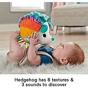 ​Fisher-Price 3-in-1 Baby Gym and Activity Mat Gift Set with Hedgehog Plush Sensory-Toy, Music Glow and Grow Gym [Amazon Exclusive]
