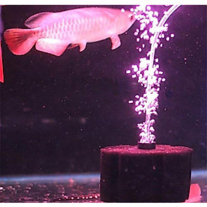 AQUAPAPA Bio Sponge Filter for Betta Fry Aquarium Fish Tank Up to 60 Gal ea. 3-Pack (L)