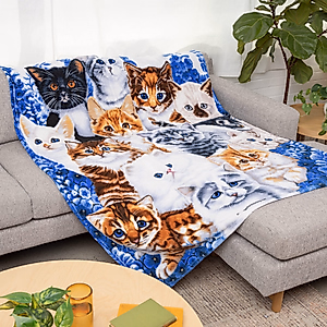 Dawhud Direct Kitten Collage Blanket - 50x60 Inches Throw Blanket for Kids and Adults - Soft Plush Fleece Blanket for Bed, Couch, or Travel - Cozy Queen Size Cat Lover's Blanket, Machine Washable
