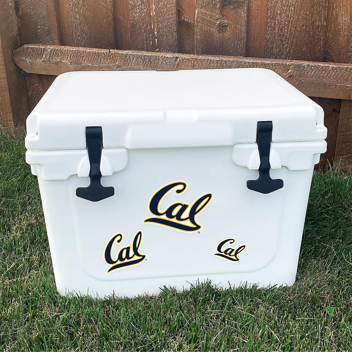 Desert Cactus University of California Berkeley Sticker Golden Bears Cal UC Vinyl Decals Laptop Water Bottle Car Scrapbook T3 (Type 3-2)