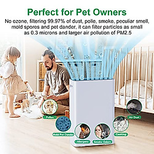 Air Purifiers for Home Large Room up to 1615 ft² with H13 True HEPA Filter, WiFi Voice Control, PM2.5 Monitor, Air Purify Filter Cleaner for Pets Smoke Dust (AF1)