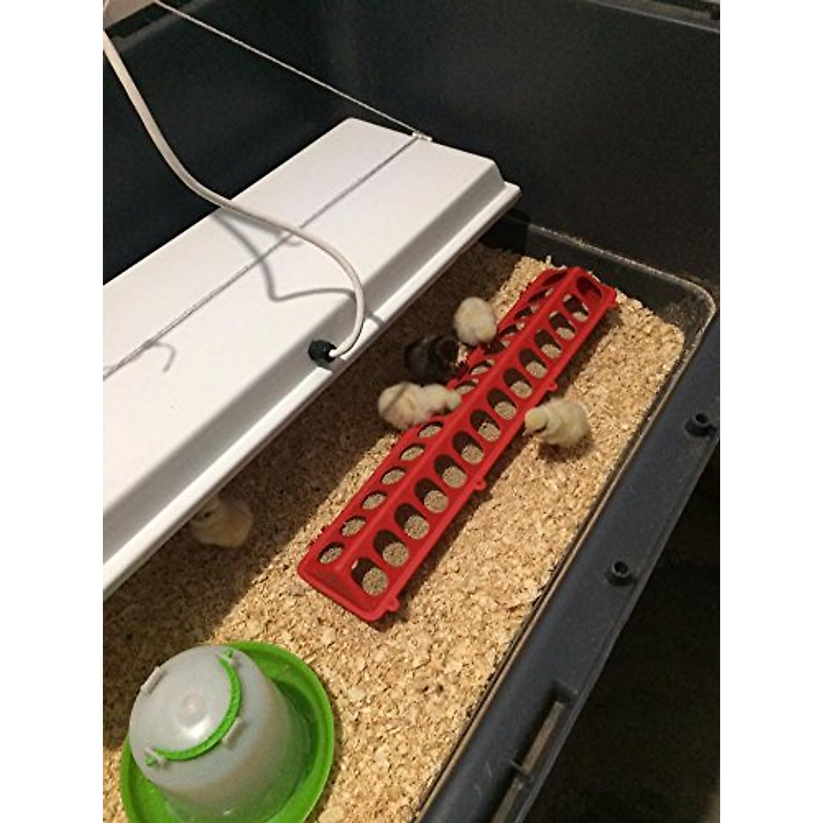 SWEETER HEATER Infrared Heater for Chicks & Pets, Flush Mount 11x40, 150 Watt