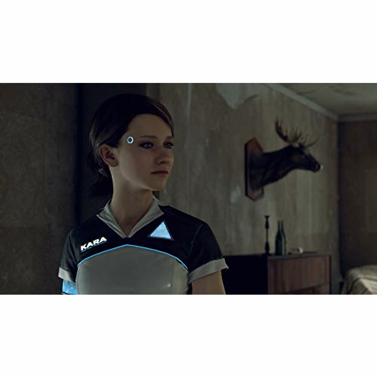 Detroit: Become Human - Collector's Edition - PC