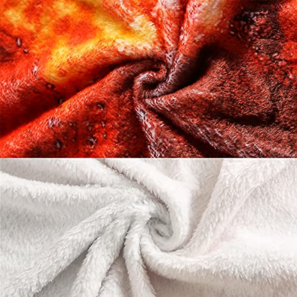 Pizza Throw Fuzzy Soft Blanket for Kids and Adult, Novelty Realistic Funny Food Warm 285 GMS Cozy Flannel Blanket