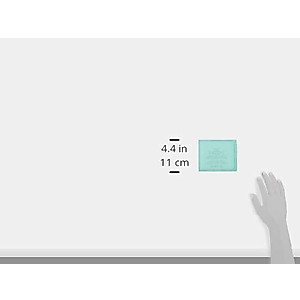 Briggs & Stratton 493537S Filter Pre-Cleaner