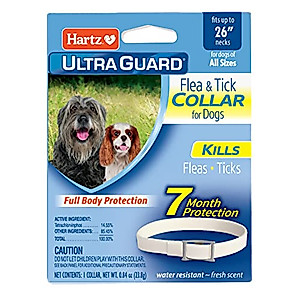 Hartz UltraGuard Flea & Tick Collar for Dogs and Puppies - 26" Neck, 7 Month Protection