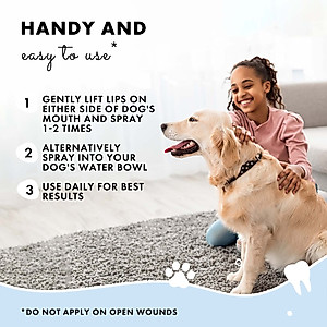 Belly Fresh Breath for Dogs Spray: Dog Breath Freshener & Dog Dental Care Spray. Ideal for: Dog Plaque and Tartar - Dog Chews, 17 Fl. Oz