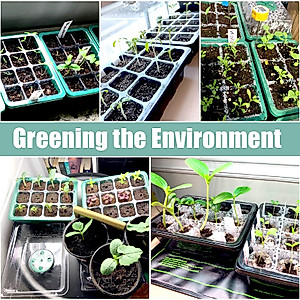 Sfee 5 Pack Seed Starter Tray Kit, 60 Cells Seedling Starter Trays with Humidity Dome and Base Greenhouse Growing Trays, Reusable Seed Germination Seedling Tray with Garden Tools Labels (Green)