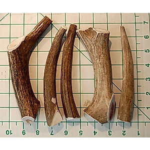 Premium Deer Antler Pieces - Dog Chews - Antlers by The Pound, One Pound - Six Inches or Longer - Medium, Large and XL - Happy Dog Guarantee!