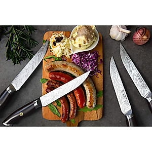 Dalstrong Steak Knife Set - 4 Piece - 5 inch Blade - Omega Series - BD1N-V Hyper Steel Kitchen Knife - G10 Woven Fiberglass Handle - Razor Sharp Knife - Leather Sheath Included