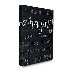 Stupell Industries Amazing Brain Love Black and White Inspirational Word, Design by Artist Daphne Polselli Wall Art, 24 x 30, Canvas