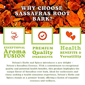 Nelson's Tea - Sassafras Root Bark - Cut & Sifted Sassafras Root Beer Flavor - Sassafras Albidum (4 Oz)