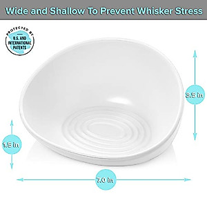 CatGuru Cat Food Bowl, Ceramic Cat Bowls, No Spill Cat Bowl, Whisker Stress Free Cat Food Bowls, Non Skid Cat Bowls for Food and Water, Includes Silicone Non-Slip Mat (High-Low, White)