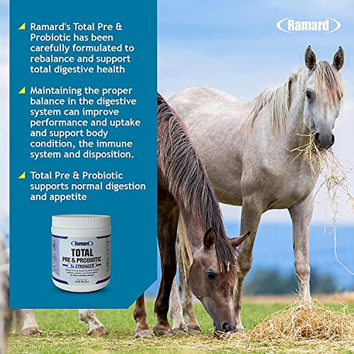 Ramard Total Prebiotic & Probiotic Equine Formula - Natural Ingredients for Foals & Adult Horses, Healthy Gut Flora & Optimal Nutrient Absorption - The Ultimate Digestive Supplement - 8.5 oz Jar
