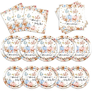 Fall Pumpkin Gender Reveal Decorations,60Pcs What Will Our Little Pumpkin Be Gender Reveal Tableware Set Orange Autumn Plates,Napkins and Cups for Girl or Boy Baby Shower Party Disposable Supplies