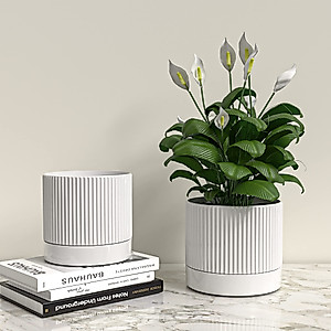 Carrward Ceramic Planter Pots Indoor with Drainage Hole & Saucer,Including Stand,7.3 Inch Mid-Century Modern Cylinder Plant Pot for Snake Flower Leaf