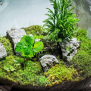 MECCANIXITY Static Grass, Nylon Artificial Grass Powder 3mm 2 x 30g Artificial Grass Fake Grass Tuft Model for Train Landscape Railway Sand Ground,White, Pack of 2