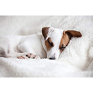 Wolfmark Oversized Sherpa Throw Blanket (60 inches x 72 inches, Grey) | Twin Size Reversible Comfort, Warm & Cozy, Perfectly Plush, Hypoallergenic, Anti-Pill, Micro Mink, Lambswool