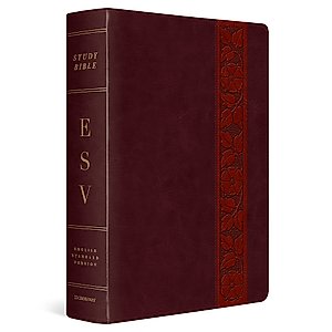 ESV Study Bible, Large Print (TruTone, Mahogany, Trellis Design)