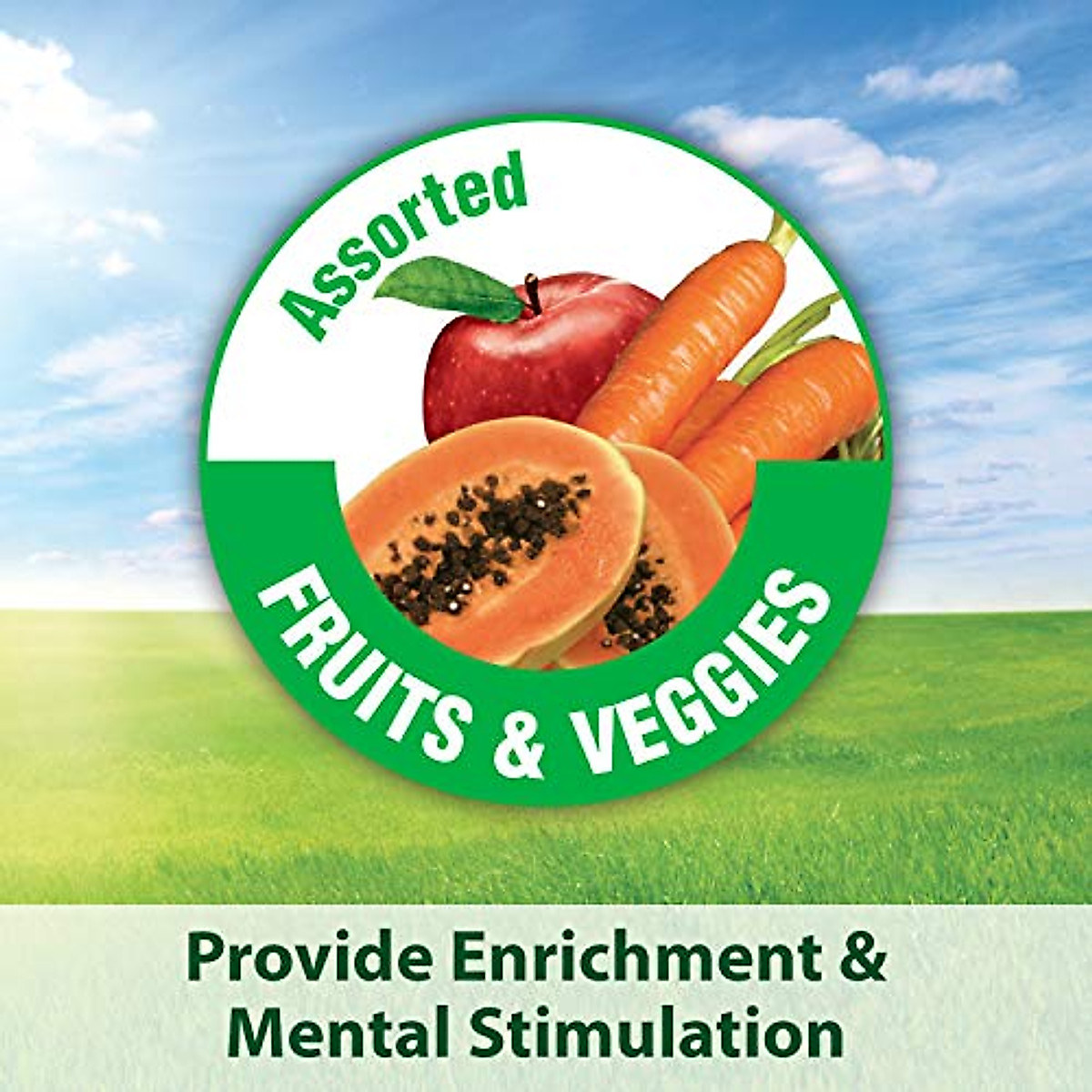 Kaytee Fiesta Parakeet Pet Bird Food, 4.5 Pound