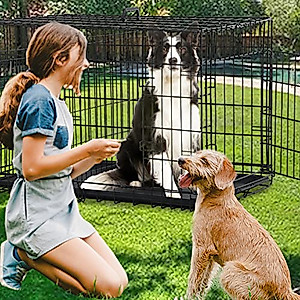 48 Inch Dog Crate Dog Cage for Large Dogs Folding Mental Wire Dog Kennel Outdoor and Indoor with Double-Door Divider Panel Removable Tray and Handle