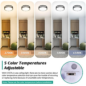 Flush Mount Ceiling Light Black, 30W 4000Lm 5CCT Dimmable LED Ceiling Light Fixture, 2700K/3000K/4000K/5000K/6500K Adjustable 10 Inch for Hallway Bedroom Bathroom Kitchen Closet Offices, Set of 2