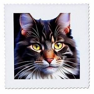 3dRose Elegant Maine Coon cat face on White. Fine Digital Art Gift... - Quilt Squares (qs-378716-7)